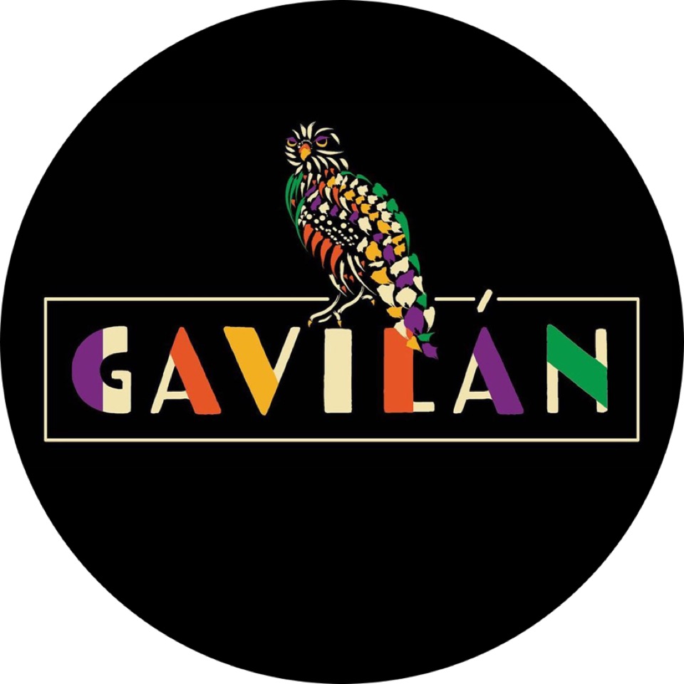 Gavilán
