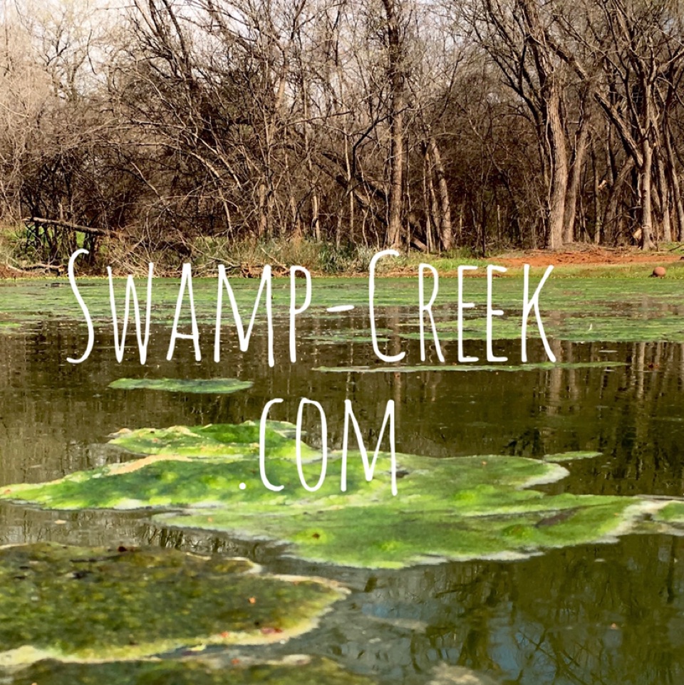 Swamp Creek